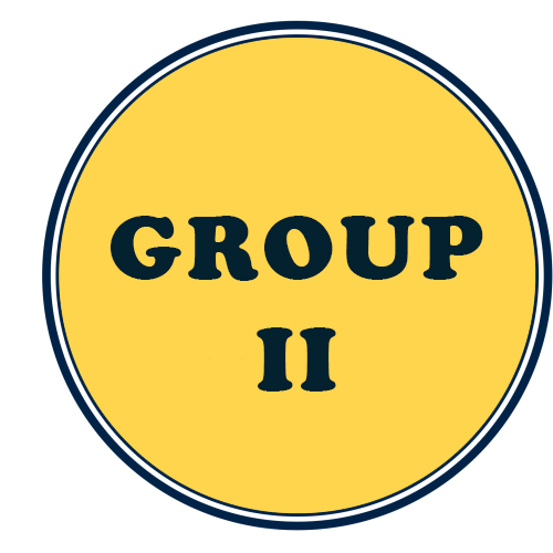 CMA Inter Group 2 Classes Online from Lecturewala